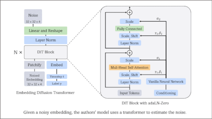 A New Class of Diffusion Models Based on the Transformer Architecture